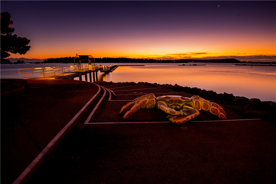 Calling all artists! City of Nanaimo seeking proposals for Temporary ...