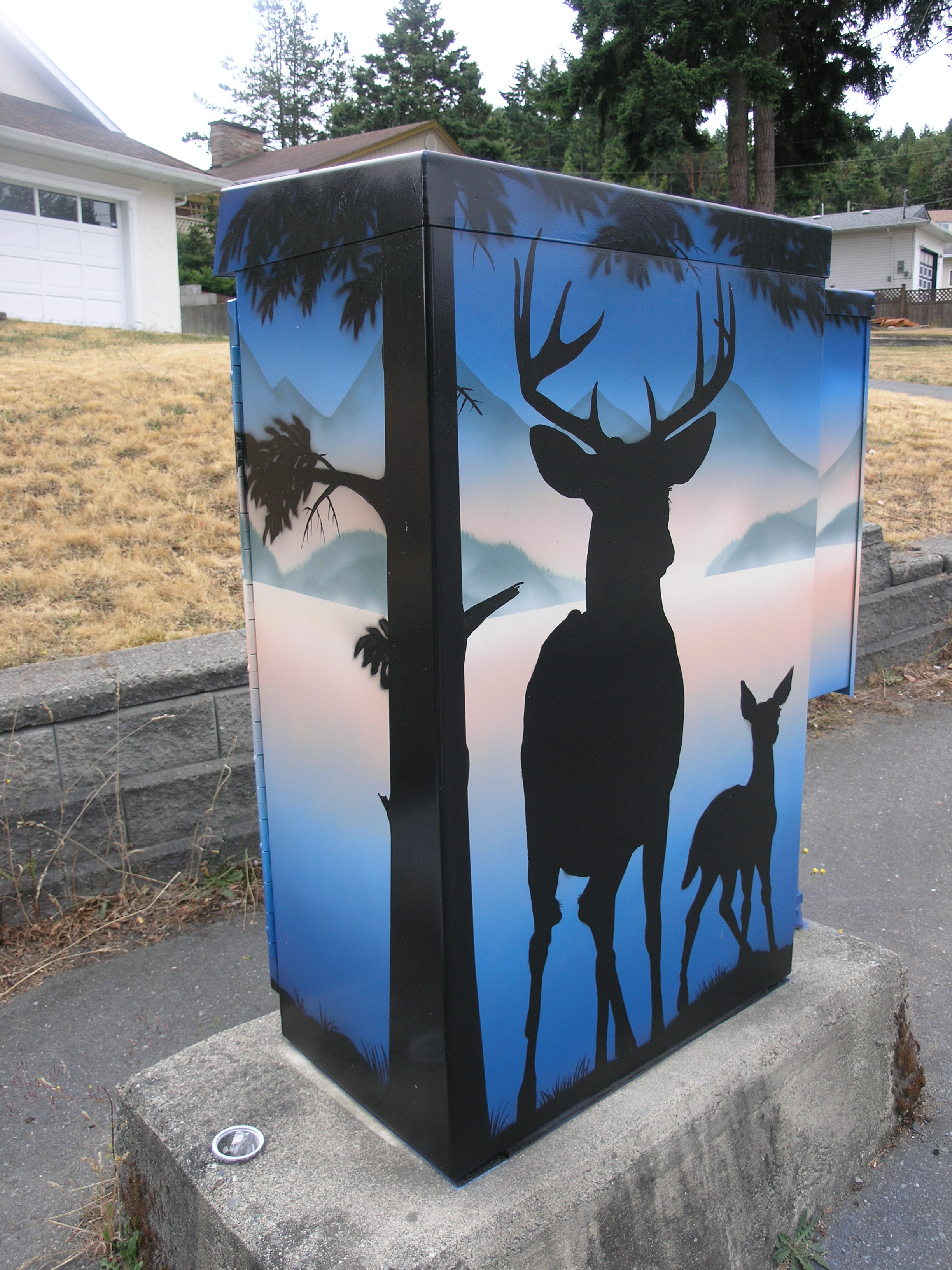 Deer Traffic Control Box | City of Nanaimo