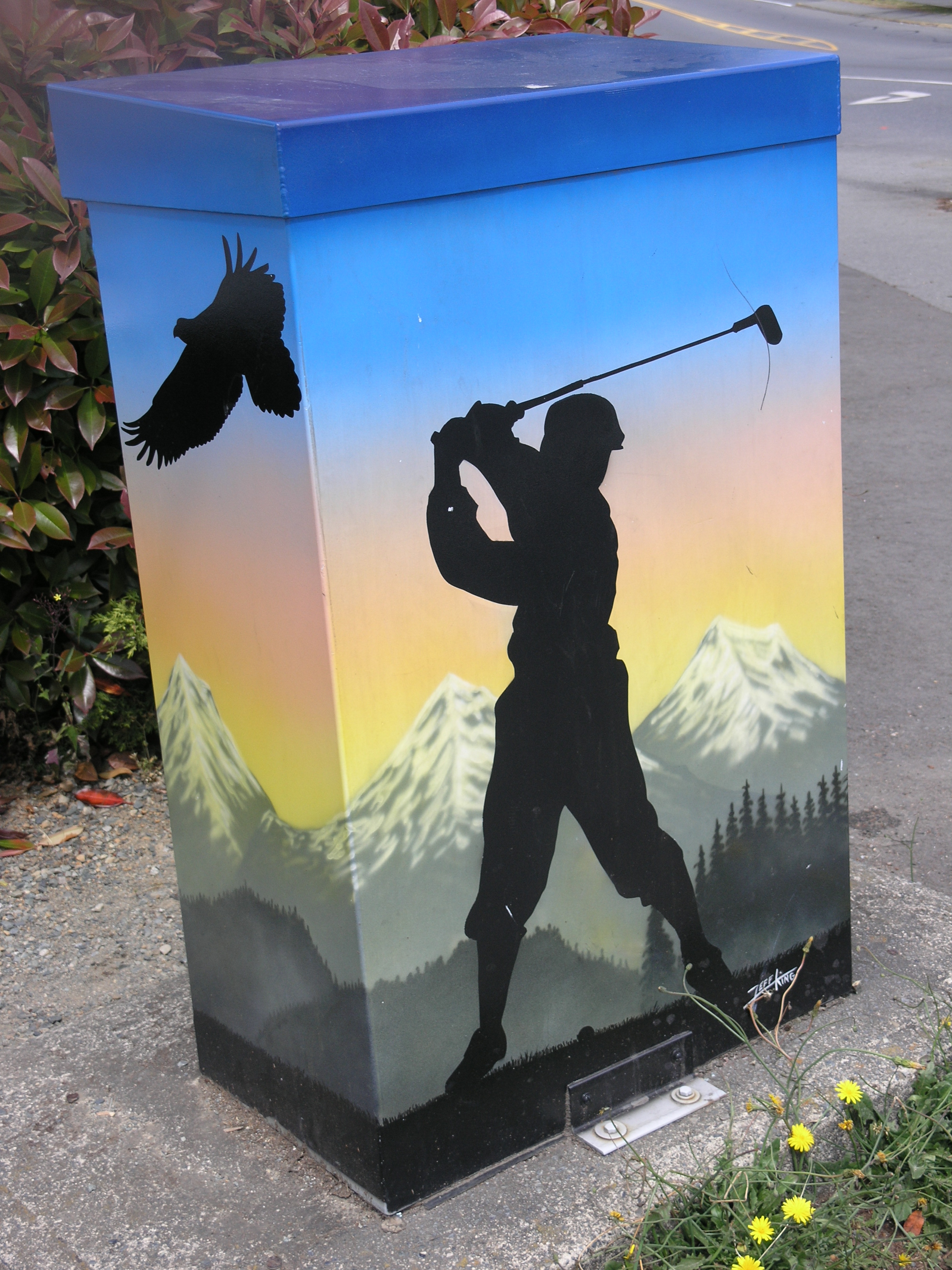 Golfer Traffic Control Box | City of Nanaimo