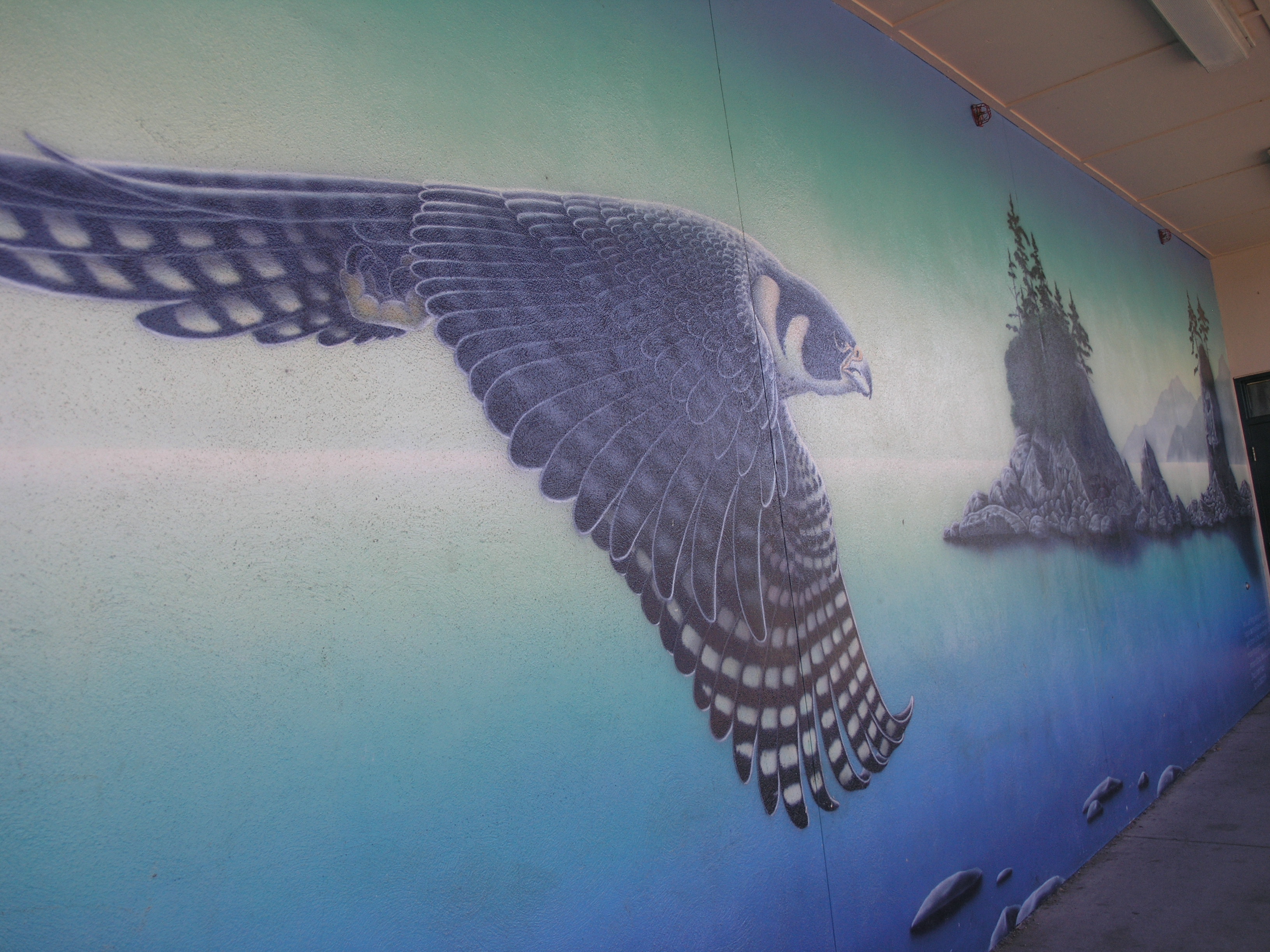 Falcon | City of Nanaimo