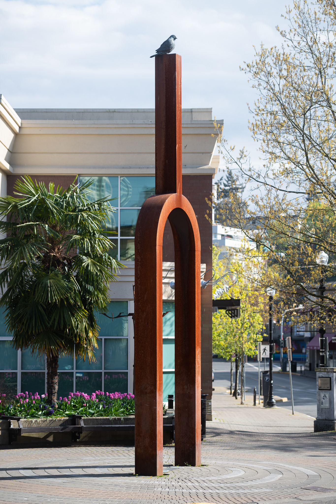 Songbird | City of Nanaimo